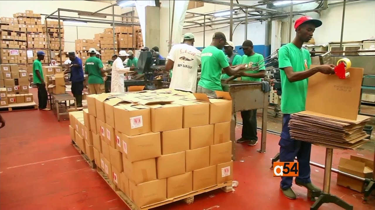 Senegal's Universities - YouTube