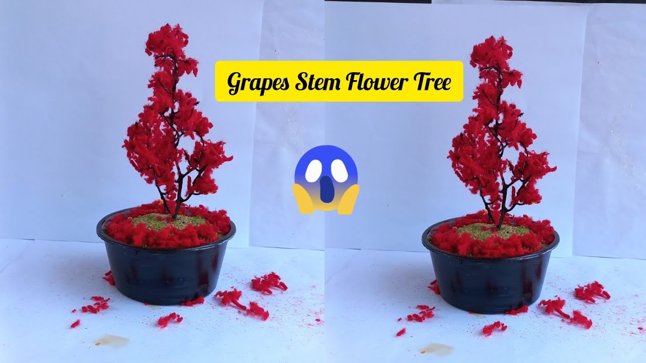 Grapes Stem tree Craft/Home Decoretion /Best Out Of Waste Craft Ideas ...