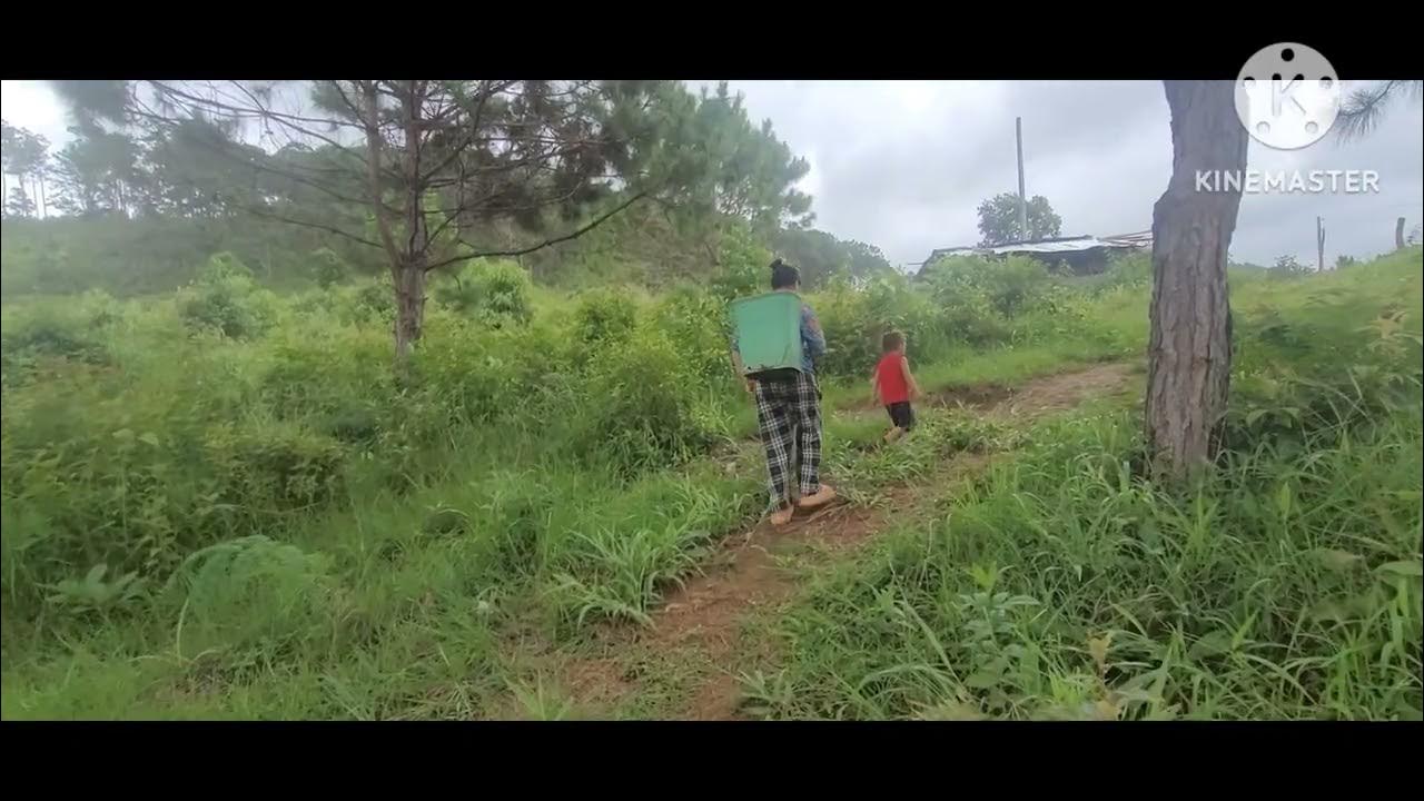 hnub no peb cov niam tub mus khawb qos liab Tom teb os 14/9/2024 - YouTube