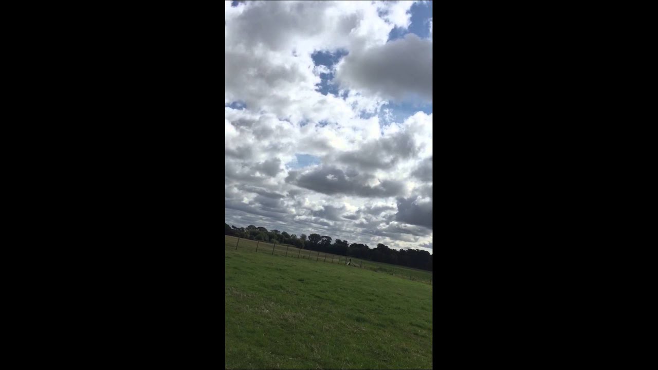 Gusty YouTube gusty-youtube