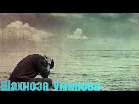 ШАХЗОДИ  ДАВРОН ---- \