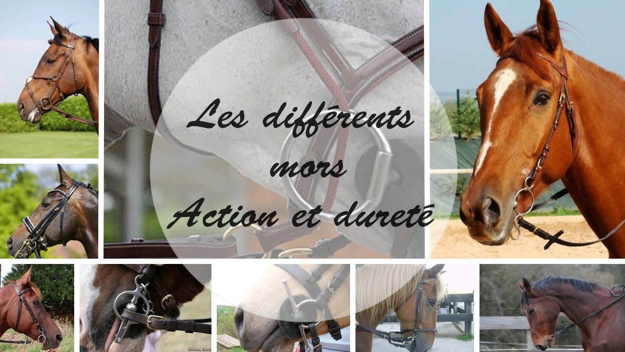 [Théorique] ~ Les différents mors. (Action, dureté et généralité) - YouTube