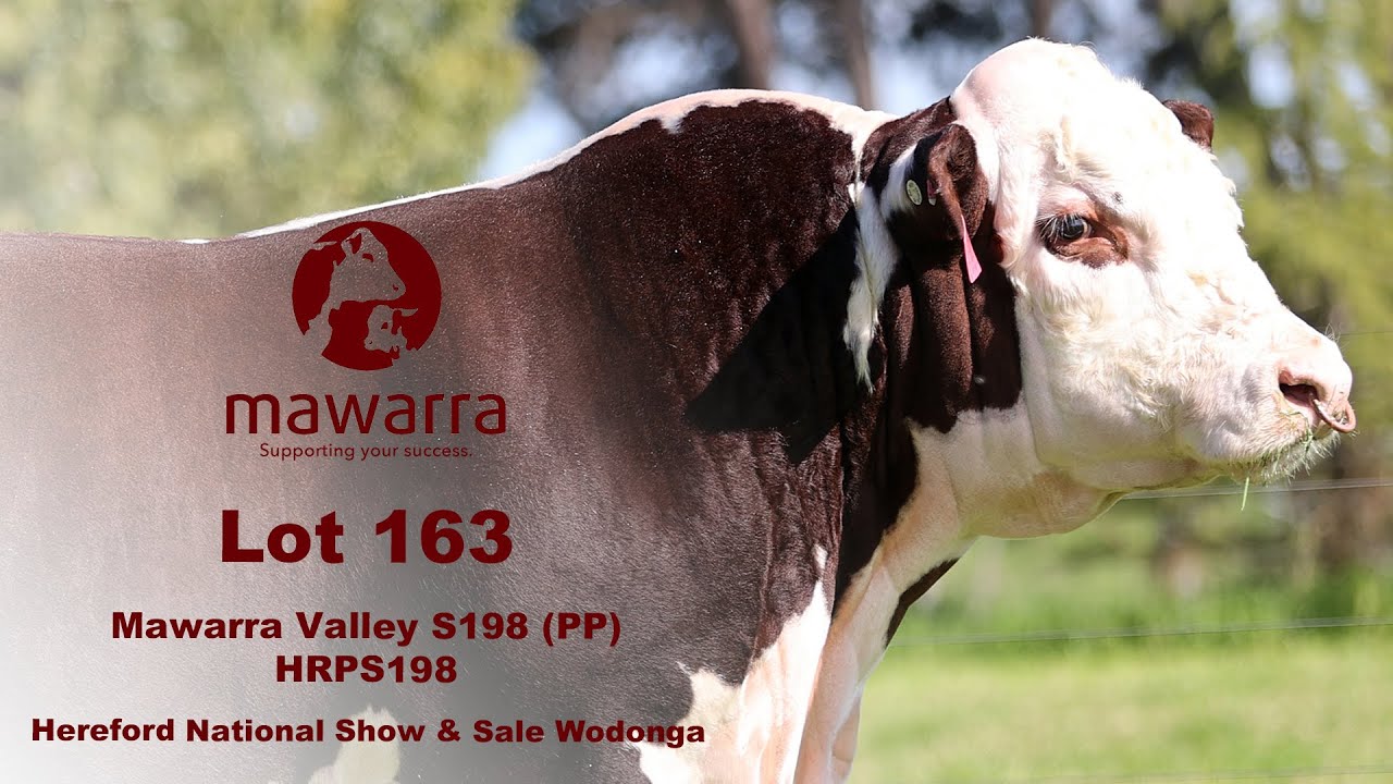 Lot 163 Mawarra Valley S198 (PP) - YouTube