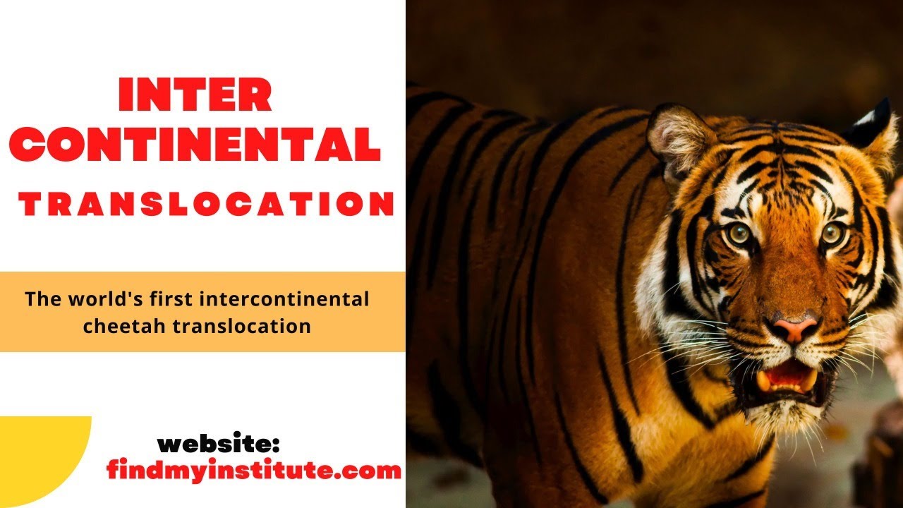 World's first intercontinental location(ICTL) In India? | Ashirwad Sir ...