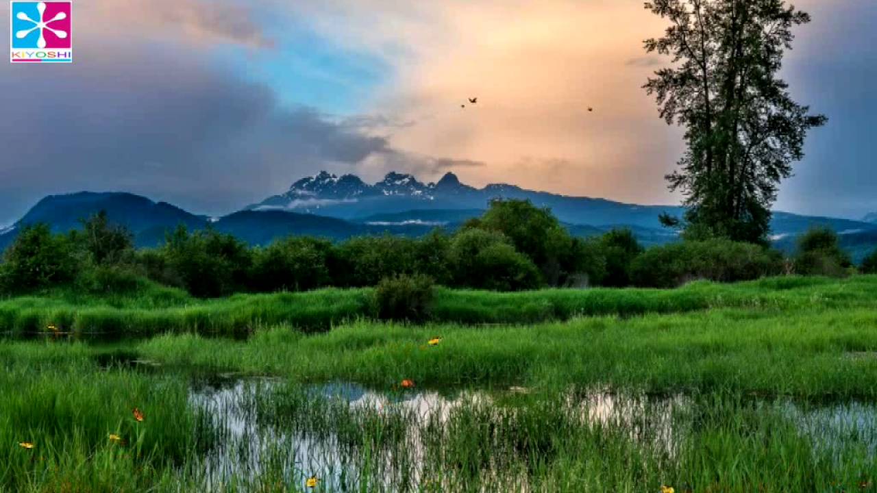 Relaxing Pan Flute Music - YouTube