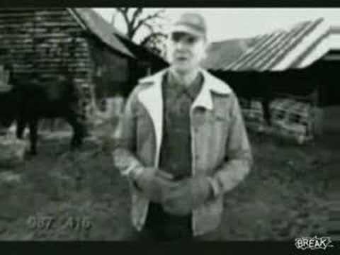 Horse Kicks Chicken Onto Roof