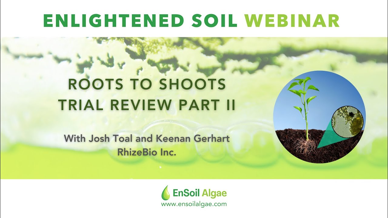 Roots to Shoots Part II with RhizeBio Inc. - YouTube
