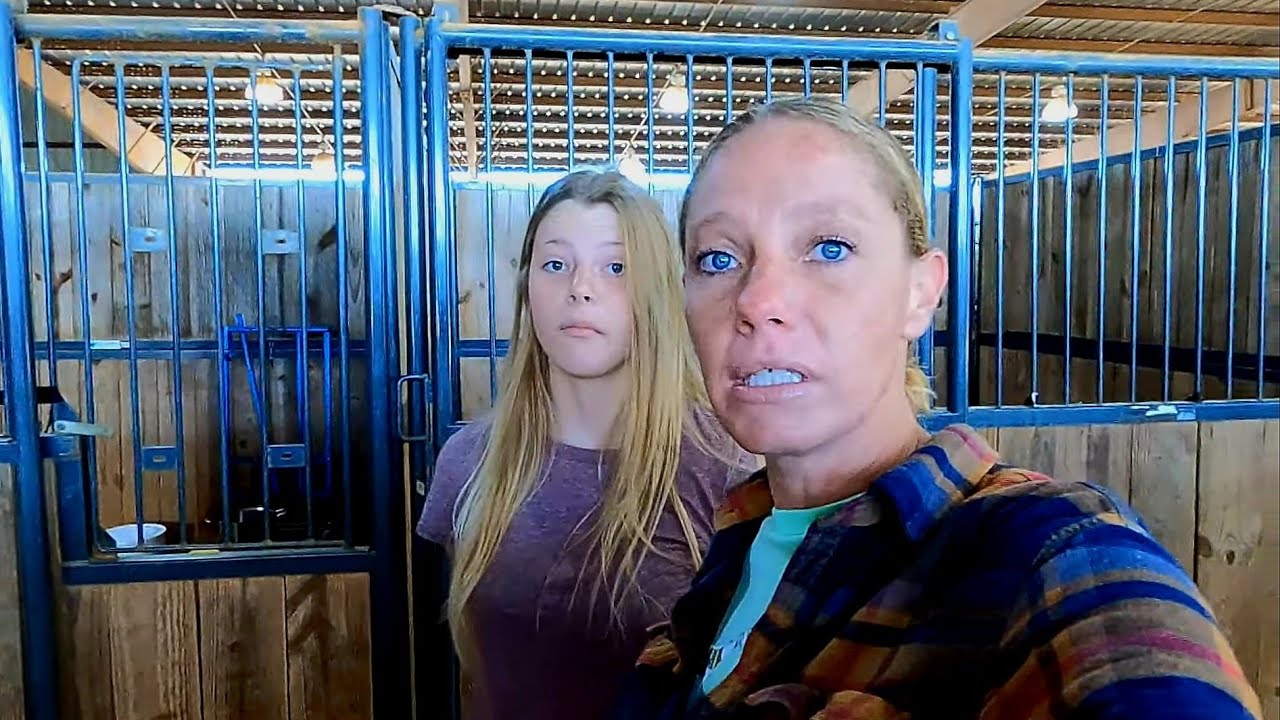 Too Many Goats & Not Enough Handlers 😳 - YouTube