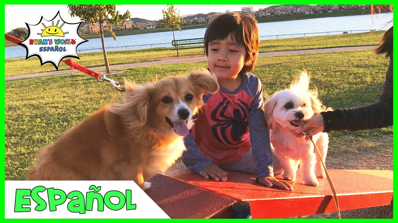 Los niños juegan en el parque infantil y en el parque para perros con ...