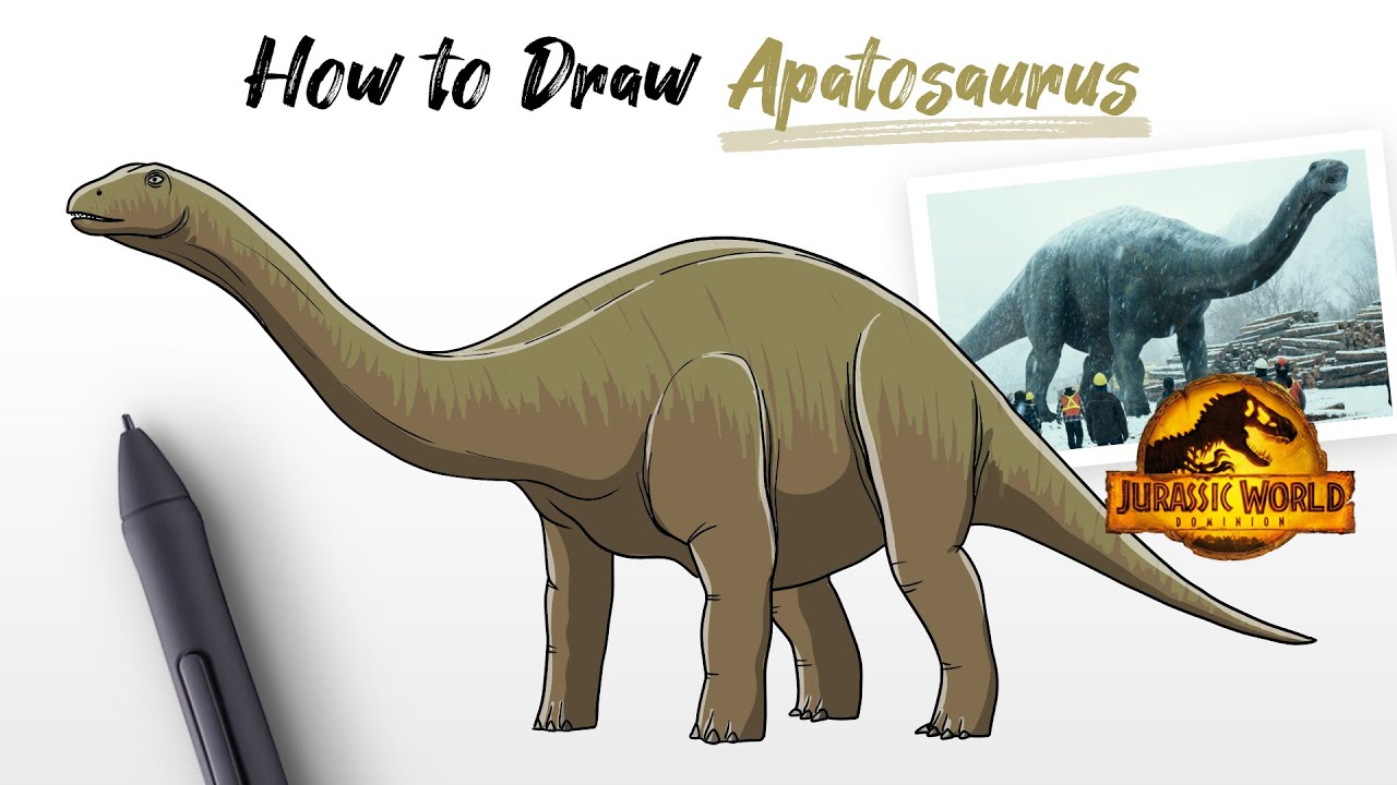 Apatosaurus Drawing