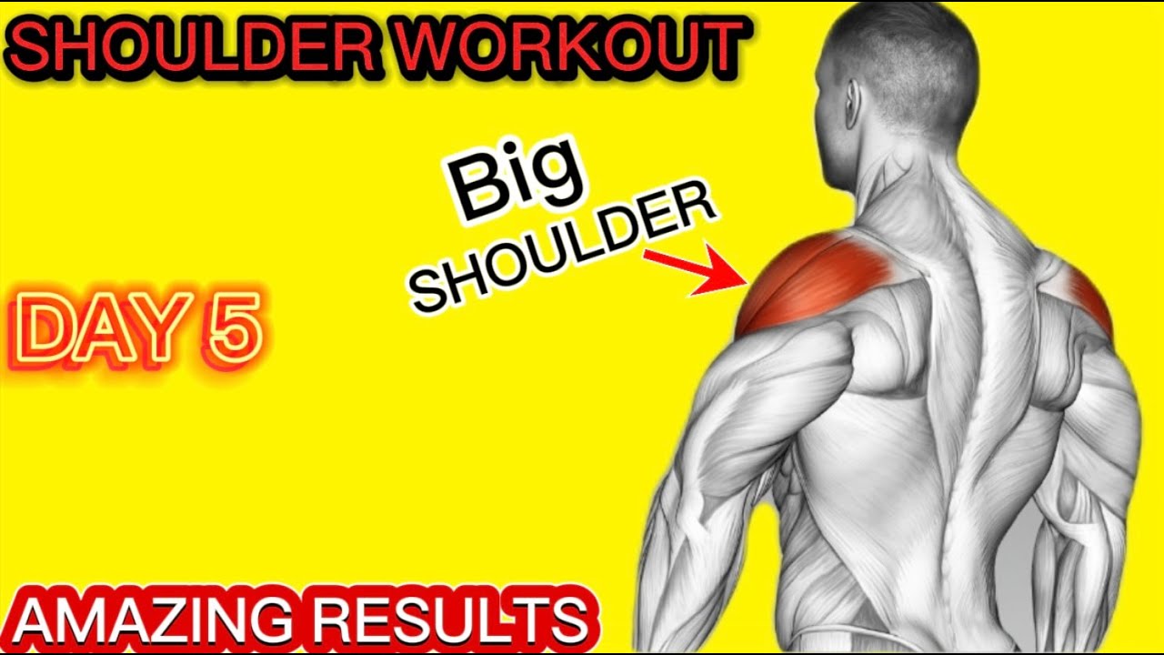 Shoulder workout for beginners Day 5 | 90 days workout challenge | best ...