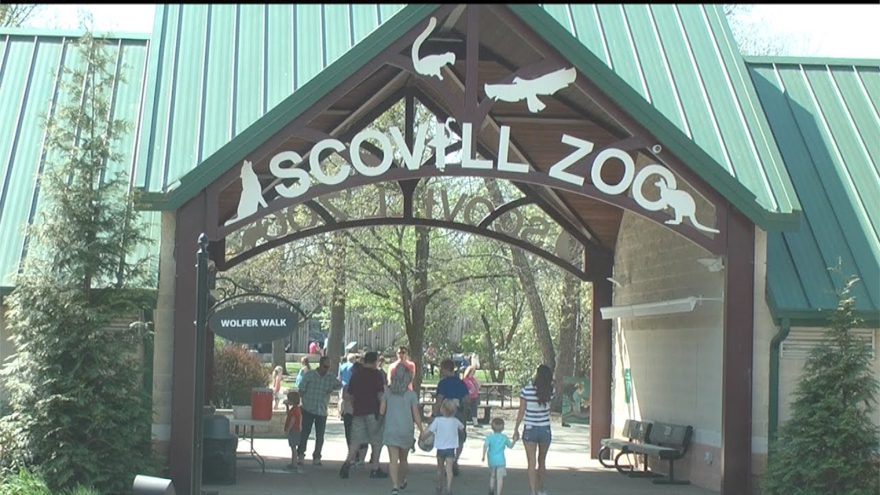 Special Day with Scovill Zoo and Children's Museum of Illinois - YouTube