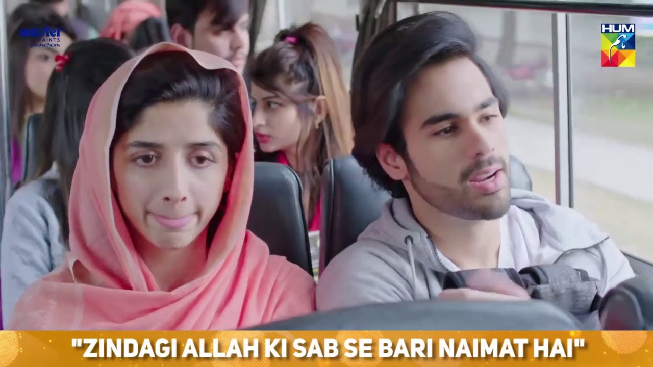Sabaat | Feedback | HUM TV | Drama - YouTube