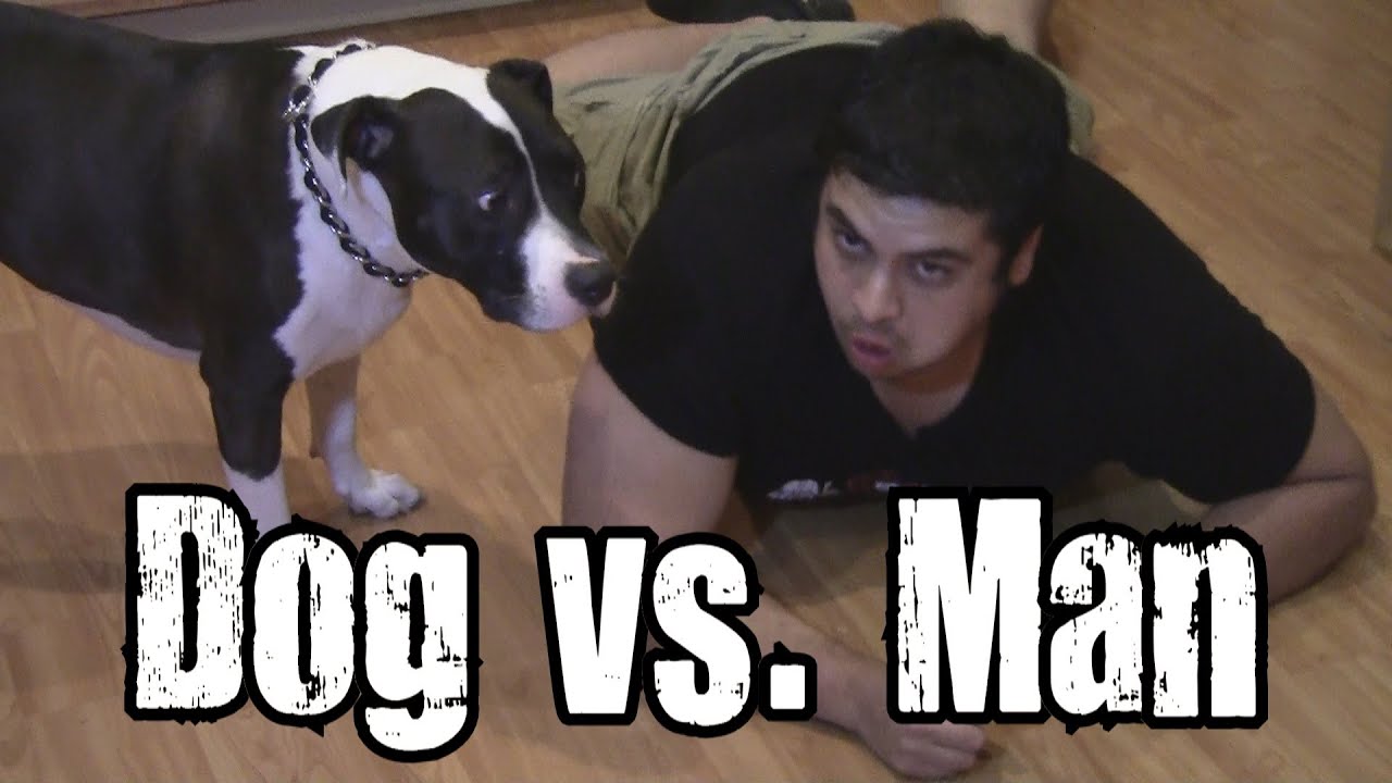 Man vs. Dog McDonald's Hamburger Challenge - YouTube