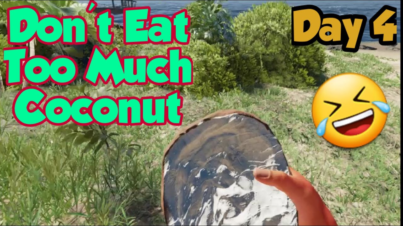 4th Day Of Survival|Don't Eat Too Much Coconut|Stranded Deep|Day 4 ...