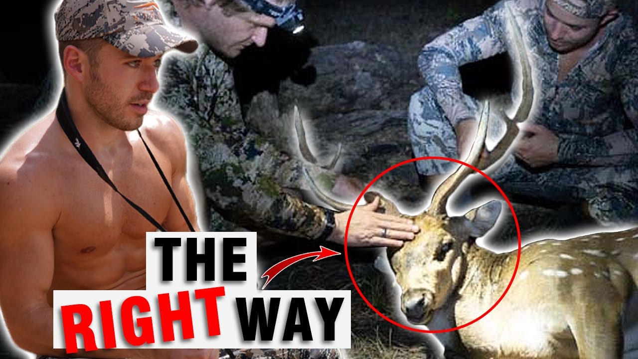 How to Hunt on a Carnivore Diet Pt.2 - YouTube