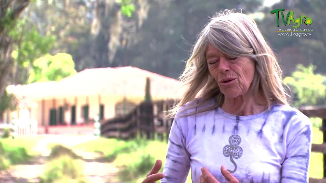 Como Adiestrar Caballos por Lucy Rees - TvAgro por Juan Gonzalo Angel - YouTube