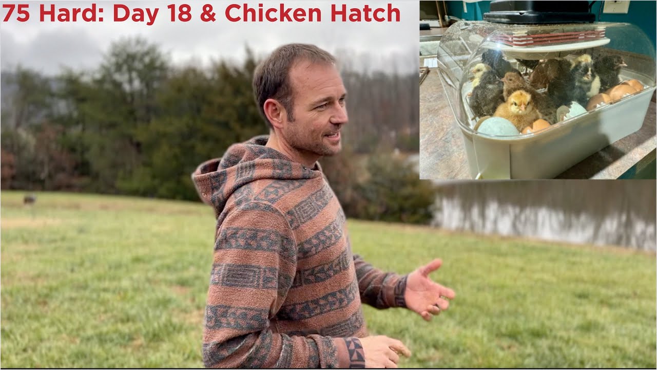 75 Hard Challenge: Day 18 & Chicken Hatch - YouTube