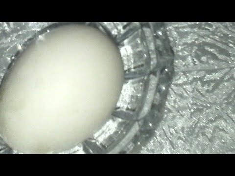 Bir yumurtanin saclara mocuzesi. \\Yumurta Saçlarda Mucize yapar./