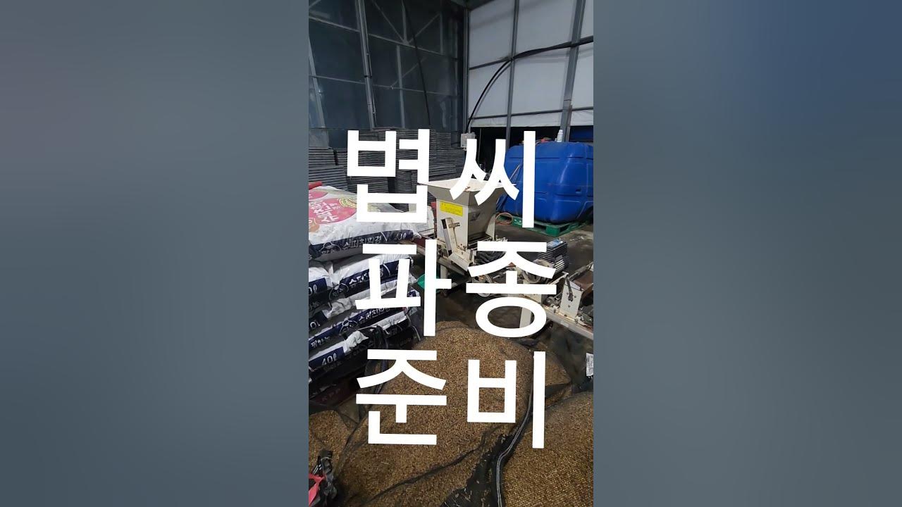 볍씨 파종 준비 240123화손범규농합육묘장 장기리벼육묘장 추청벼 삼강벼 새청무벼 영호진미 백옥찰벼 야간작업으로 파종준비 가조농약종묘사 농합주농업회사