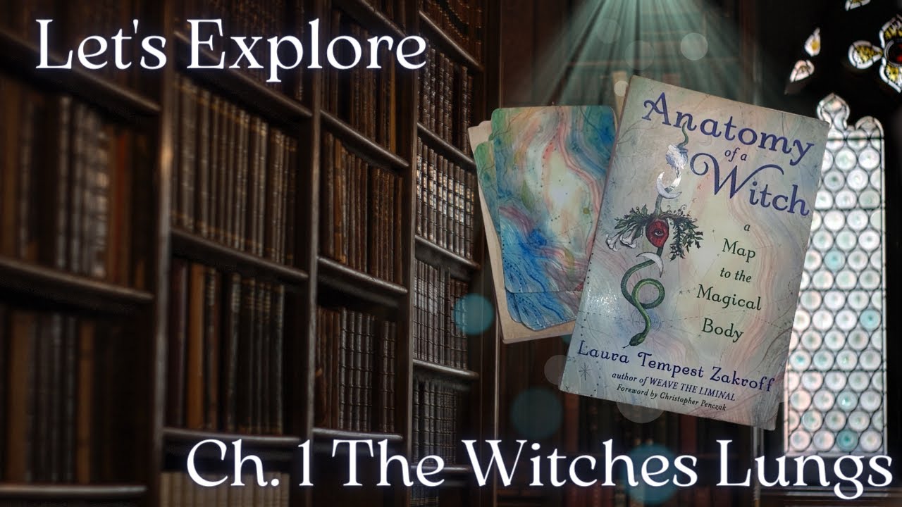 Anatomy of a Witch Book and Oracle - Deck and Book Club - Introducing ...