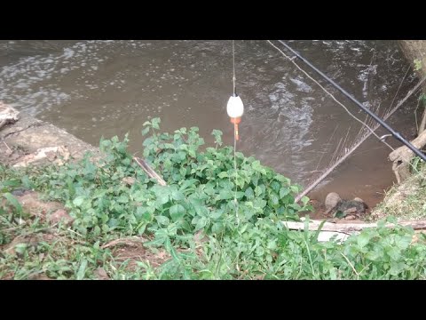 Dylan ren sedang live sekarang! - YouTube