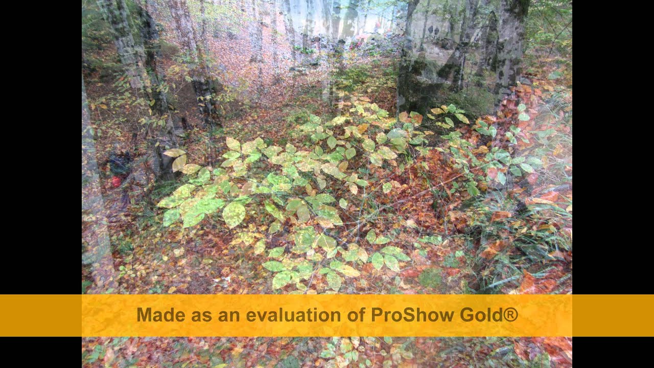 na putu-jesen - YouTube