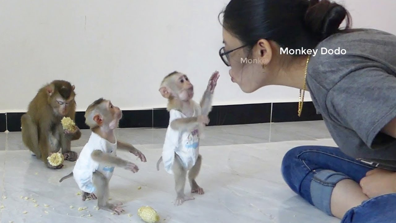 Very Cute!! Smallest Cici Walking To Give Mom A Kiss With Her Small ...