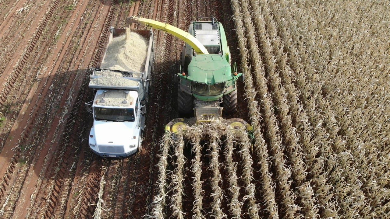 Chopping Silage (4K) - YouTube