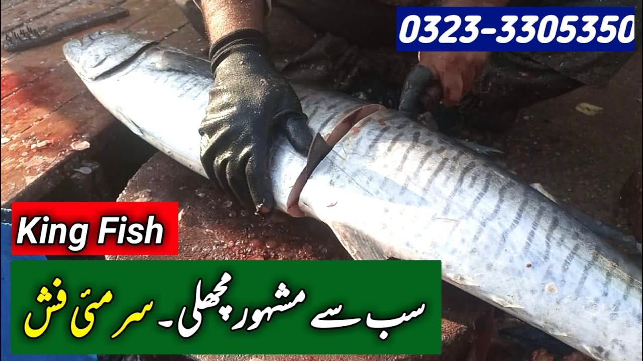 Fish Video| King fish update| Karachi Fishery Market on 6th December ...