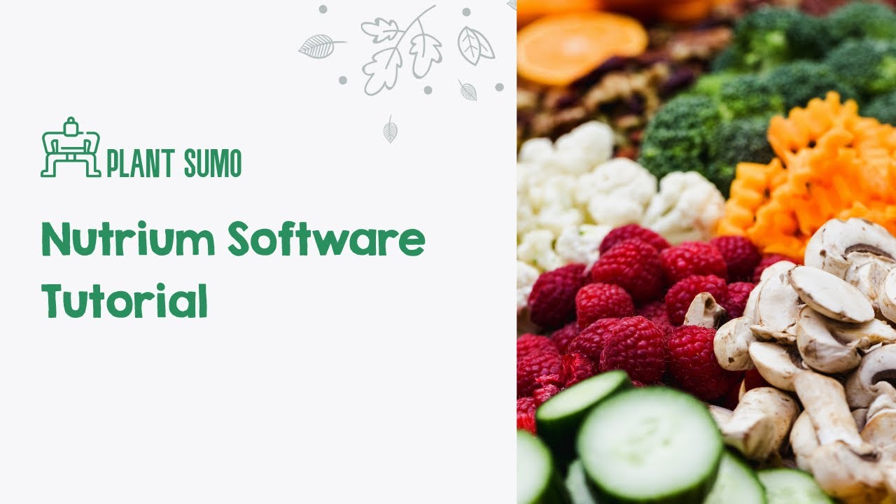 Nutrium Software Tutorial - YouTube