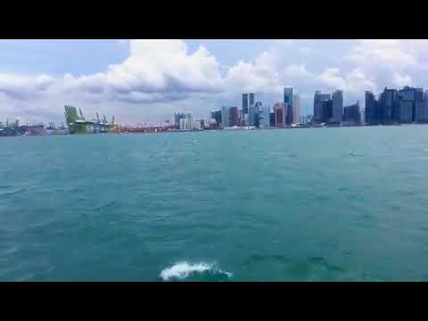 Wow..singapur beauty