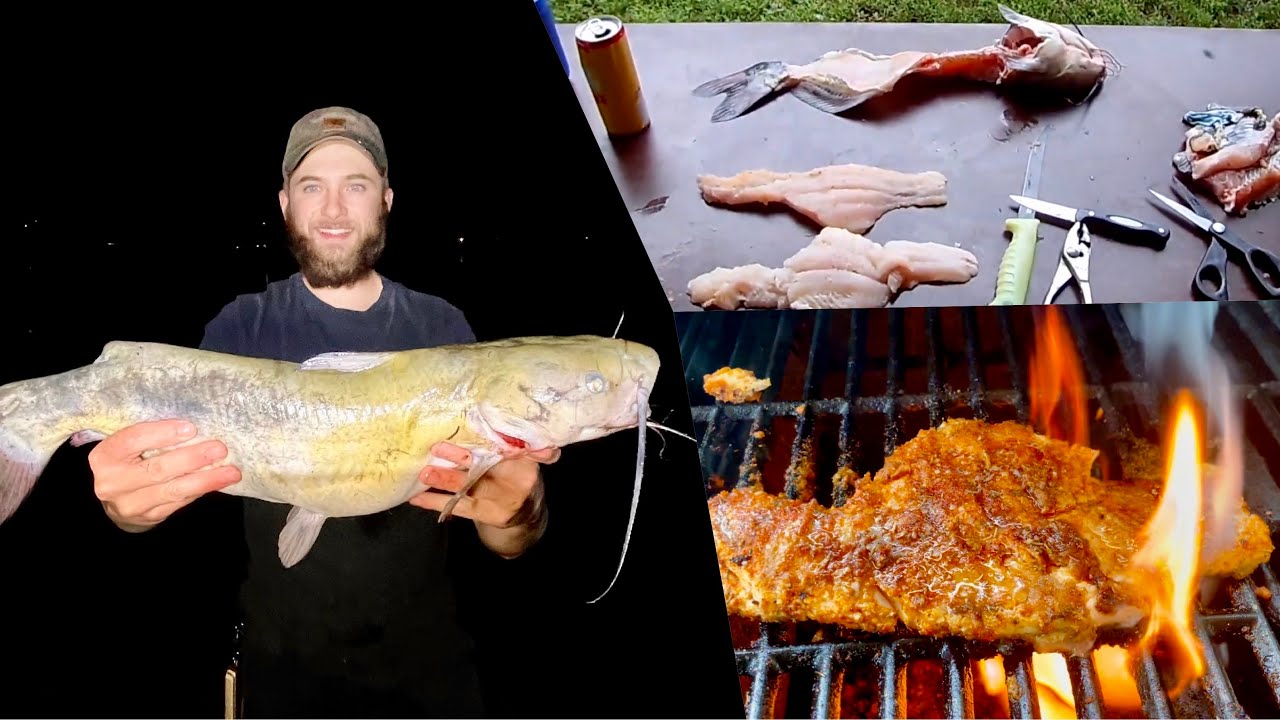 Colorado Catfish Catch Clean Cook - YouTube