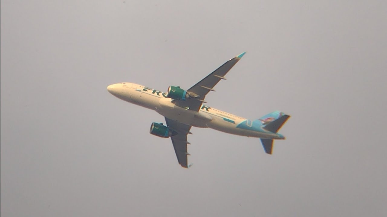 🐢🐢Frontier Airlines Airbus A320-251NEO Ted the Loggerhead Sea Turtle ...