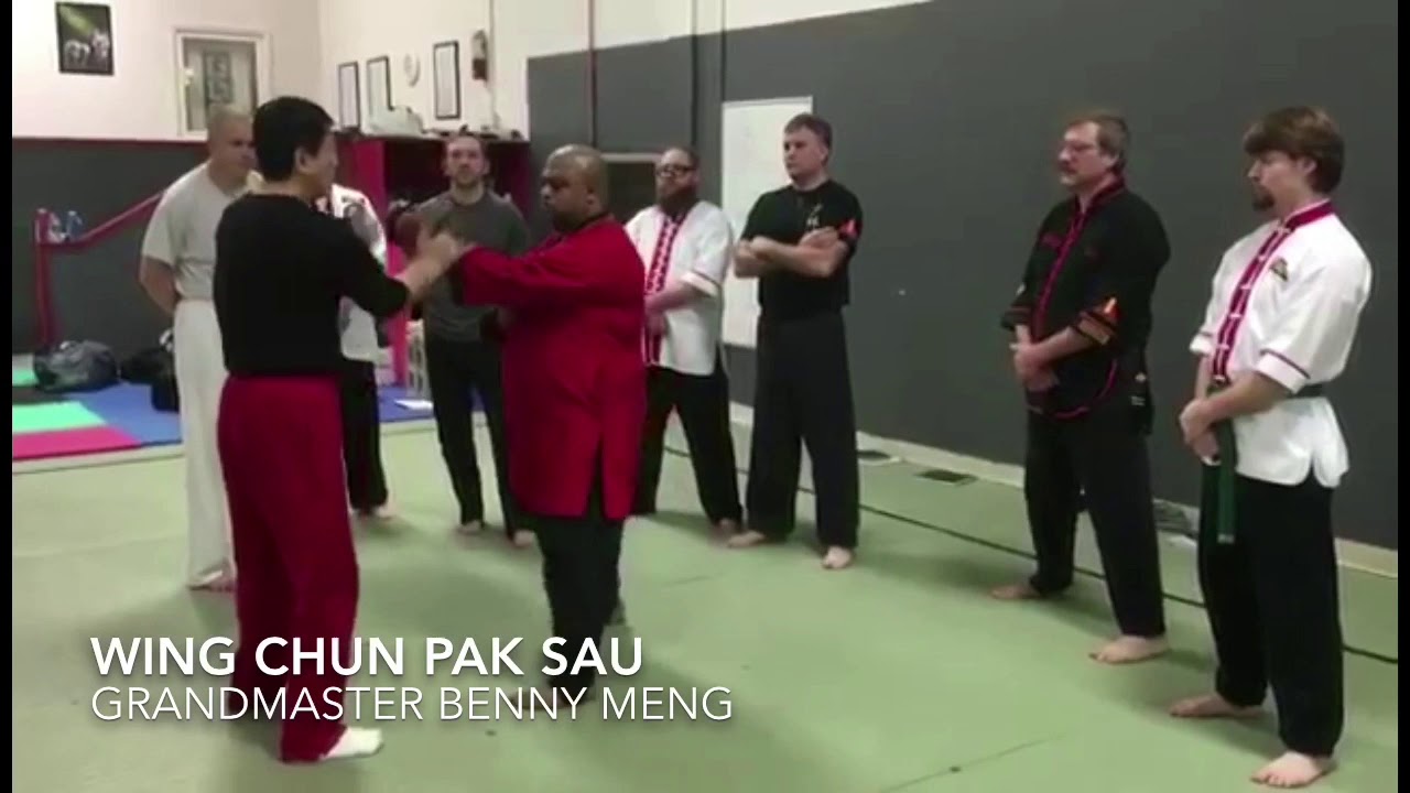 Wing Chun-Pak Sau - YouTube