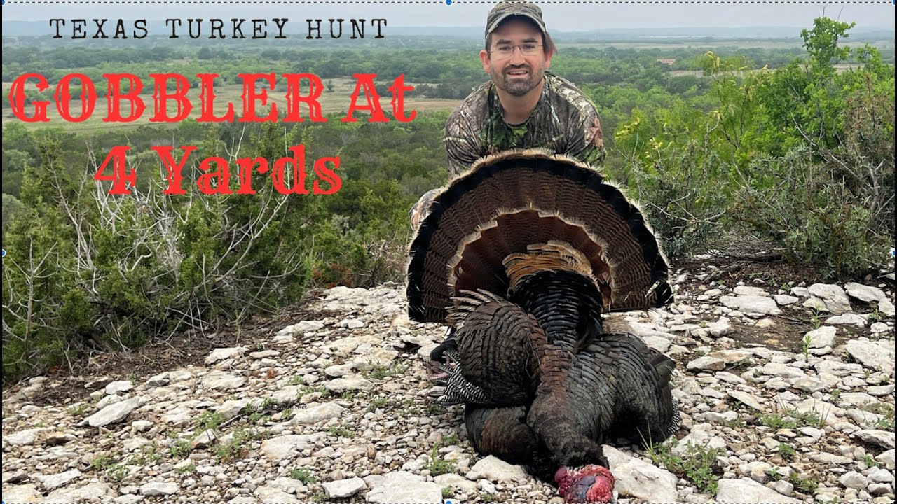 Texas TURKEY HUNT GOBBLER at 4 Yards - YouTube