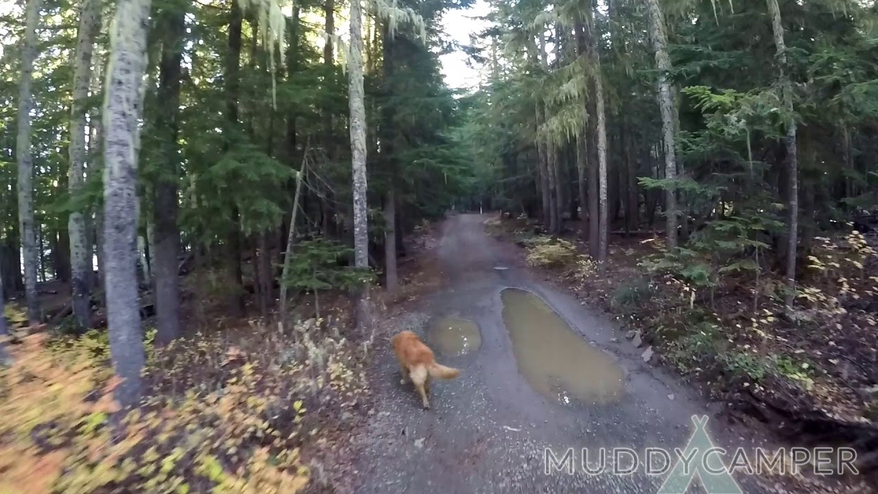Forlorn Lakes Campground Walkthrough - YouTube