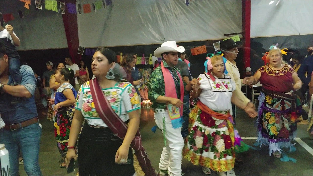 EL TORO PINTO -LOS TUKANSITOS - YouTube