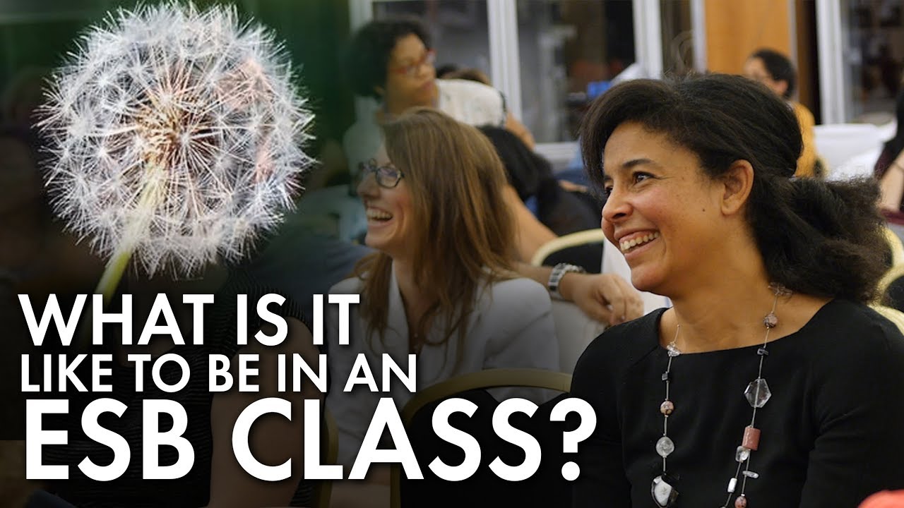 What is it like to be in an ESB Class - YouTube