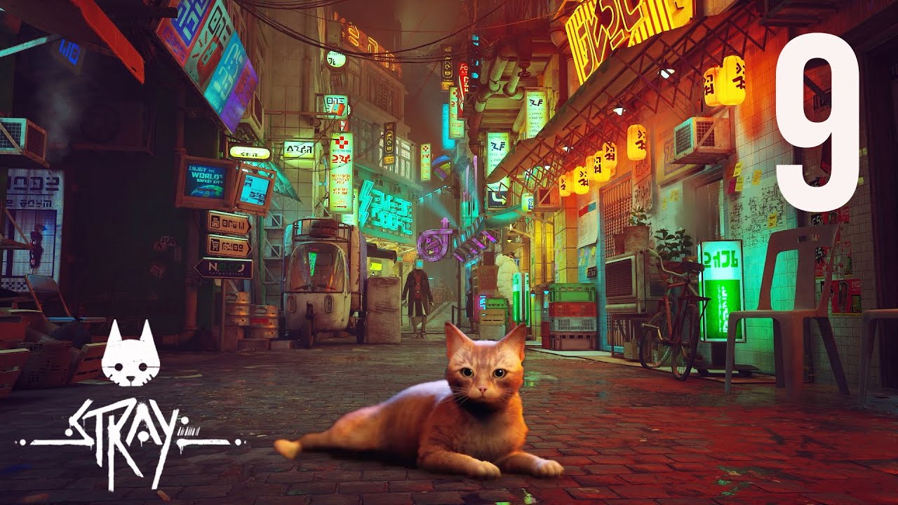 Stray - Midtown beauty and fun, the place where the plot thickens ...