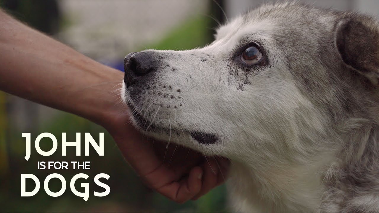 John is for the Dogs (Short Documentary) - YouTube