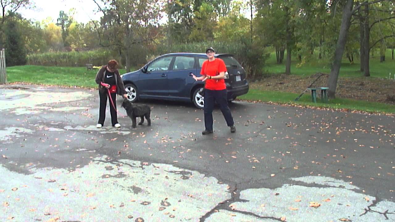 The "luring" technique - YouTube