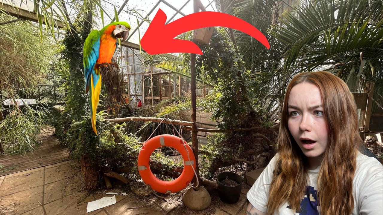 We Found An Abandoned Zoo With Animals Left Inside!! - YouTube