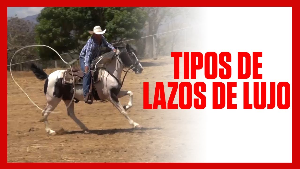 🐴 Tipos de LAZOS DE LUJO Costa Rica 🇨🇷🐴 - YouTube