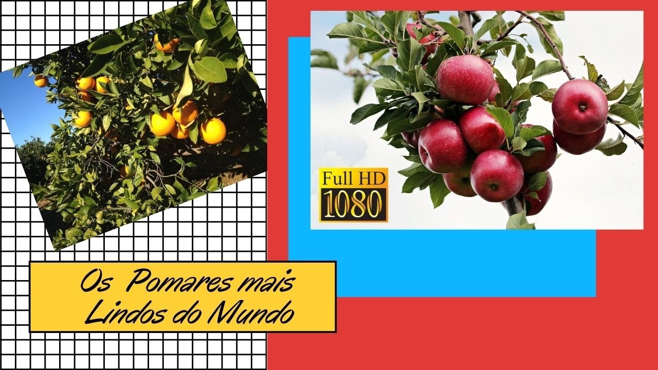 🍎Os Pomares mais (LINDOS) - do Mundo Top10 FullHD - YouTube