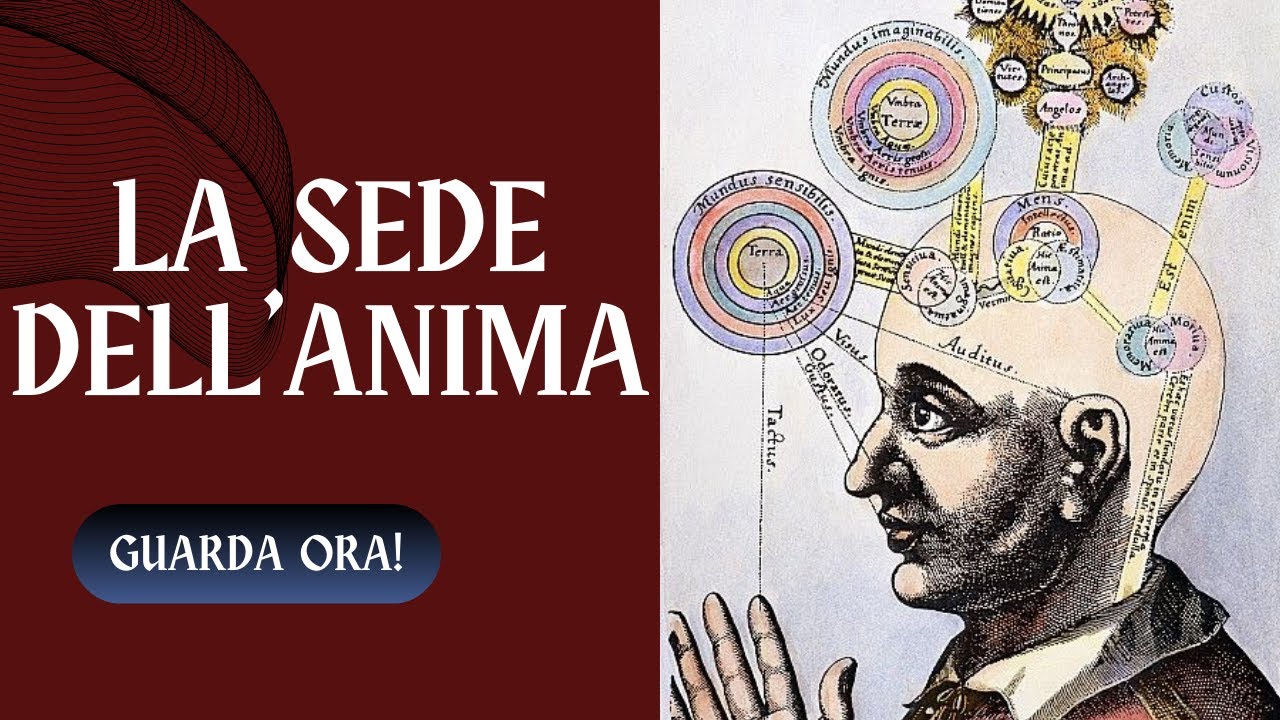 La Sede Dell'Anima - Angelo Pirrone (2024) - YouTube
