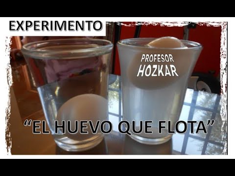 EXPERIMENTO "EL HUEVO QUE FLOTA" - YouTube