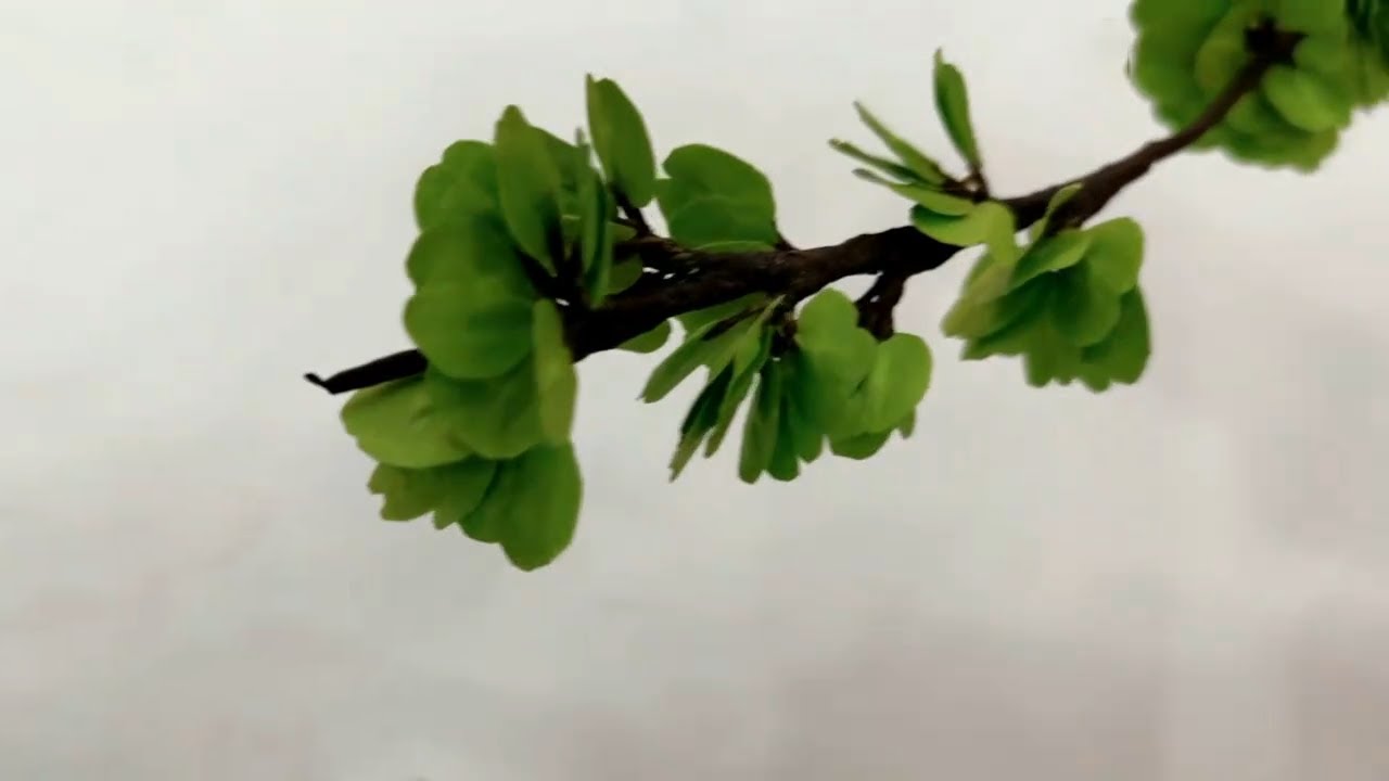 How to make a green twig with paper\DIY Crafts Tutorial\ - YouTube