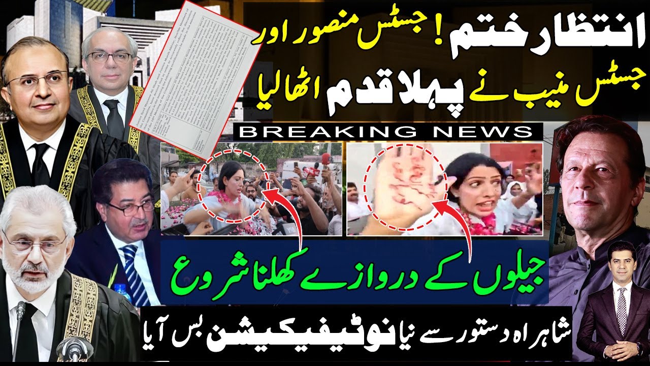 Justice Mansoor & Muneeb took first action| Aliya Hamza finally got freedom |new notification ...