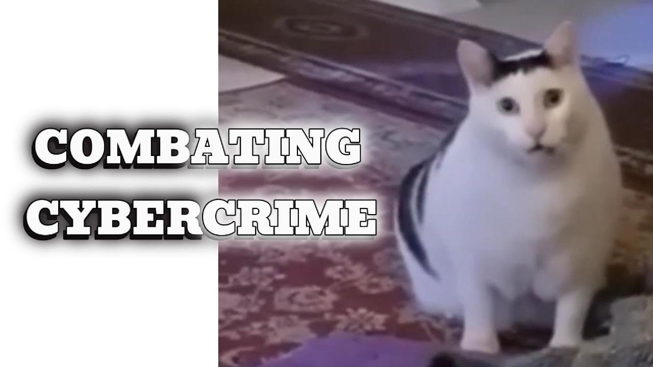 Combating Cybercrime (Part 1) - YouTube